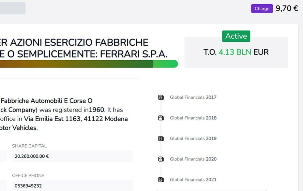 Italian Company Financial Statements: In-Depth Reports