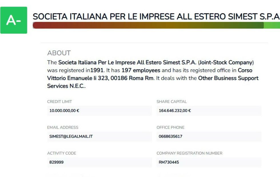 Italian Company Financial Statements: In-Depth Reports